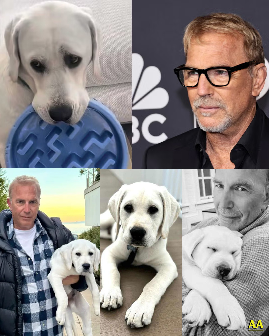 Why Kevin Costner Says He’s Just Like His 7-Month-Old Puppy Bobby ...